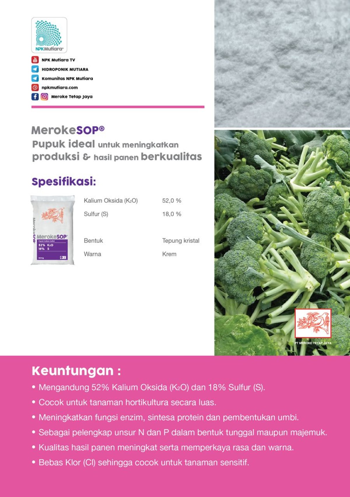 Meroke SOP - NPK Mutiara - Terpercaya Karena Kualitas